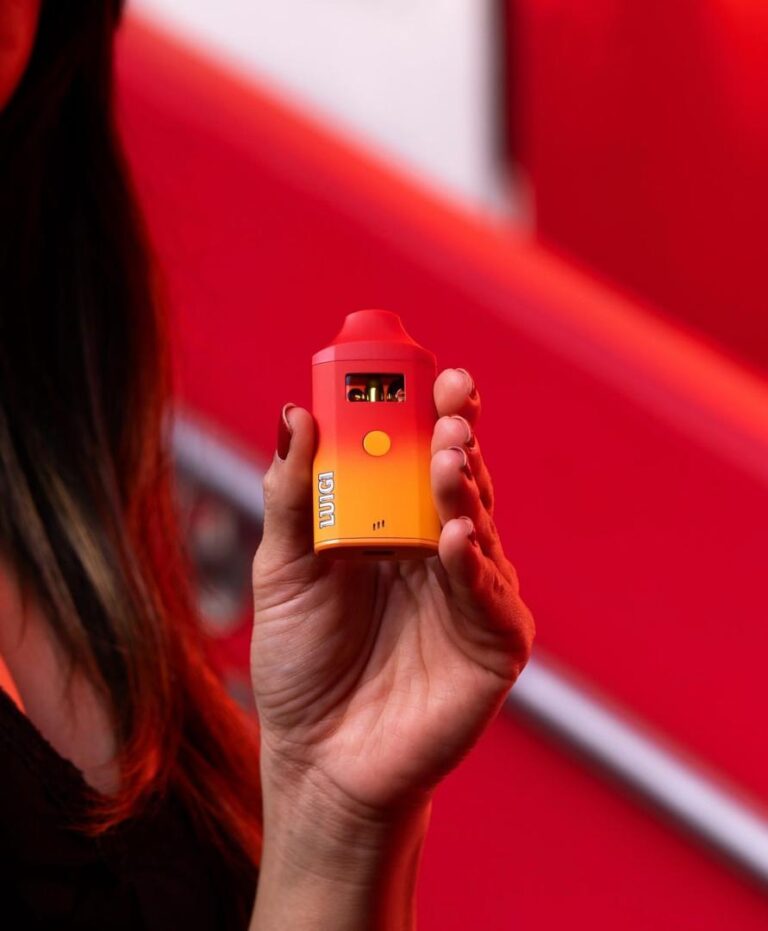 Luigi Disposable 2 Gram - Luigi Oil Store